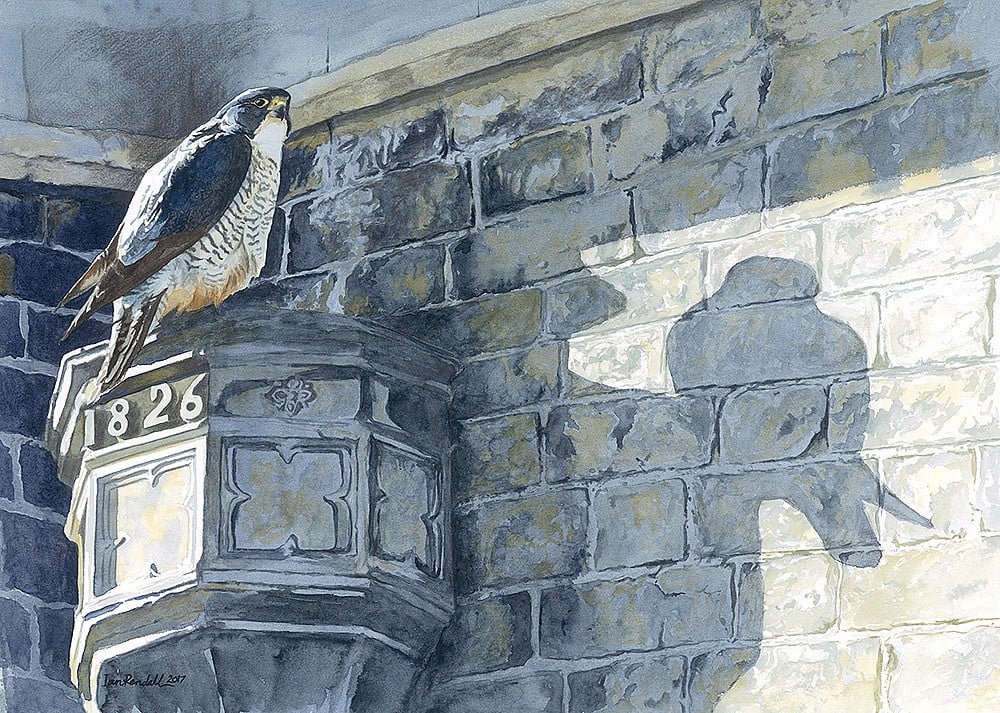 Ian Rendall | Scottish Painters | GALLERY | House Of Bruar